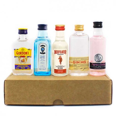 Caja gintonic mini botellas de GINEBRA - Kit de ginebra para regalar